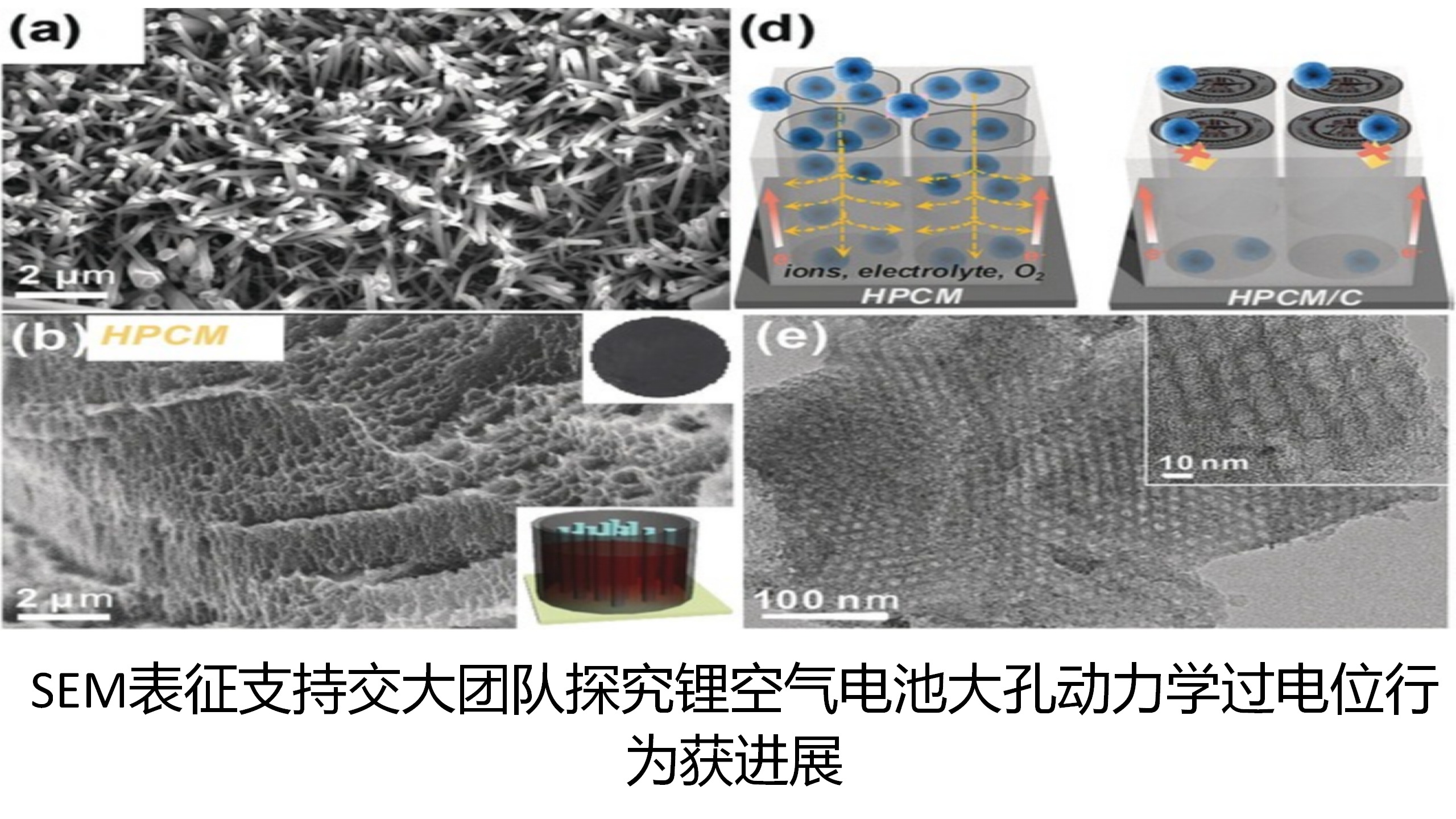 SEM表征支持交大团队探究锂空气电池大孔动力学过电位行为获进展