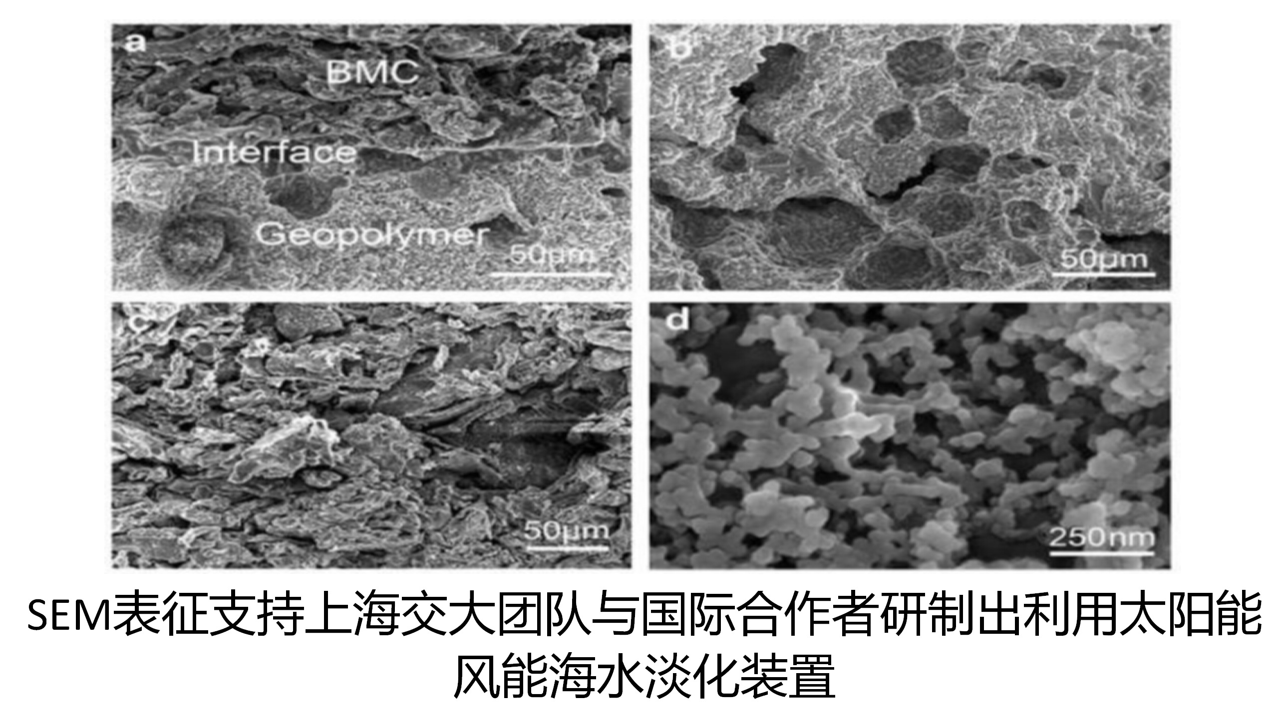 SEM表征支持上海交大团队与国际合作者研制出利用太阳能风能海水淡化装置